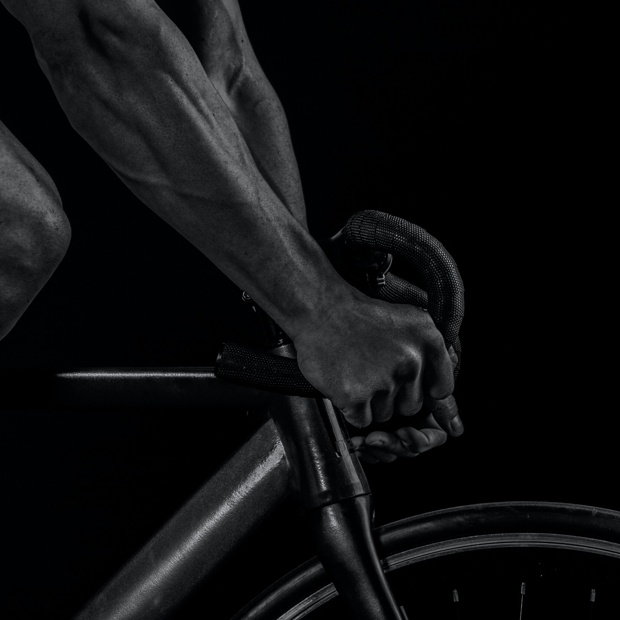 Organizations | Finding Mastery